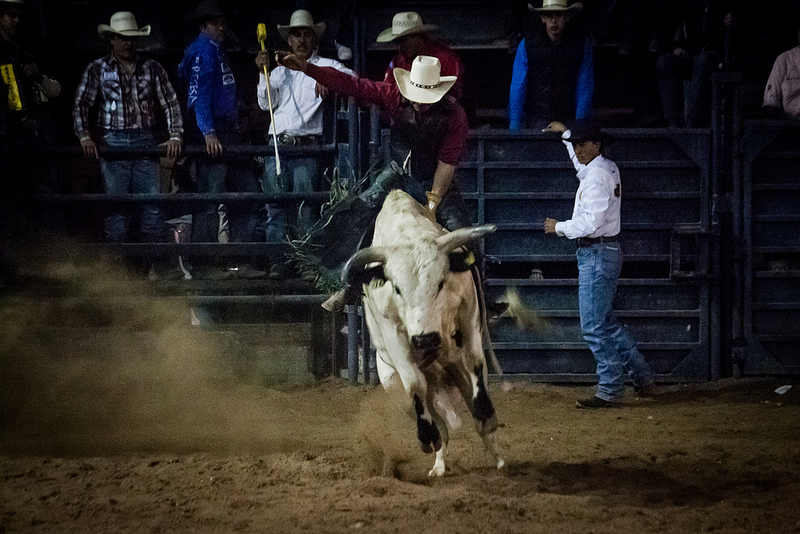 2014 Waconia Professional Rodeo & Mackenthun’s Ribfest | Unofficial ...
